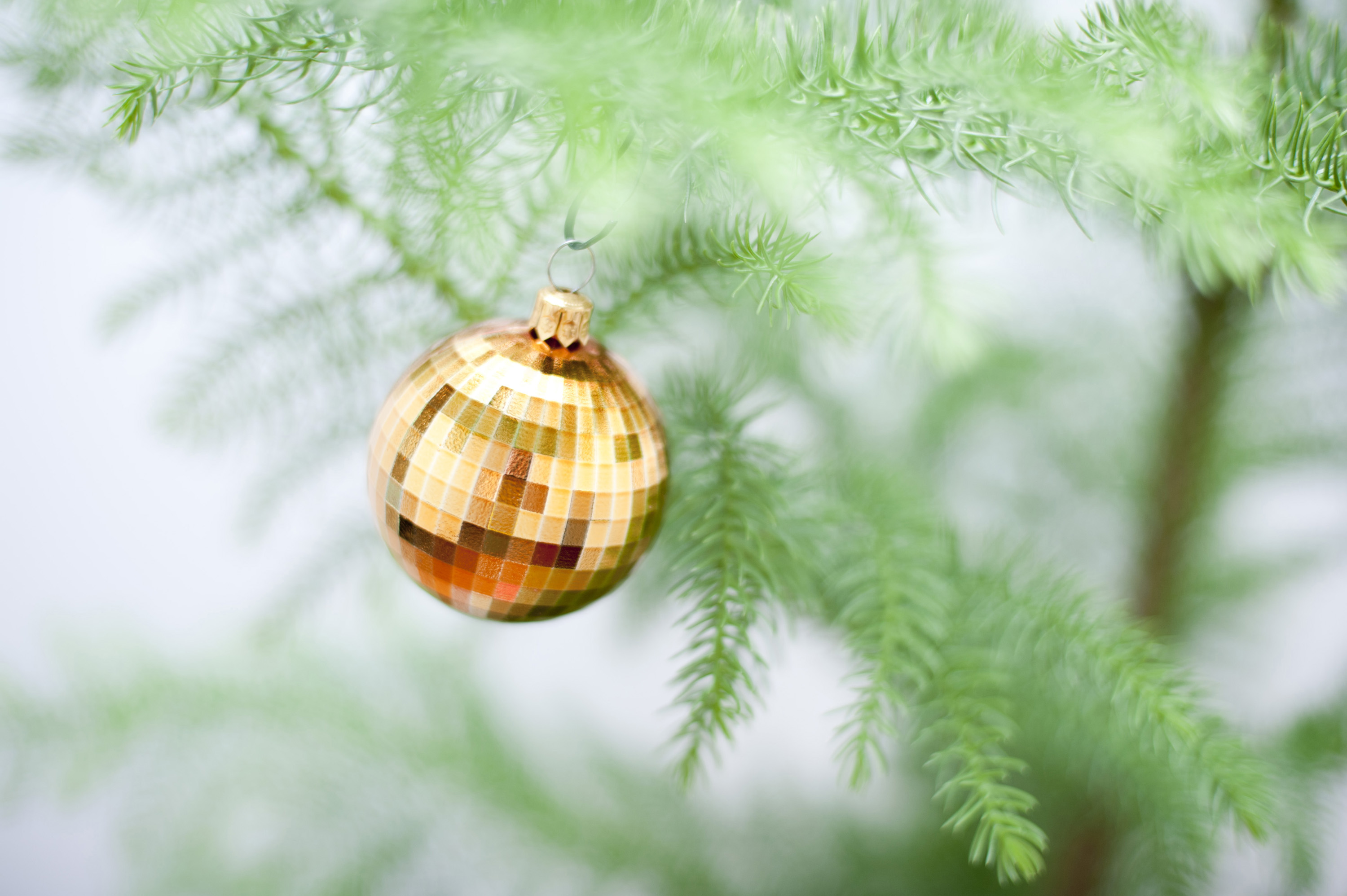 Photo of Single golden Christmas bauble on a tree | Free christmas images